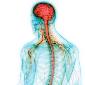German New Medicine Therapy Ontario - MedRehabGroup